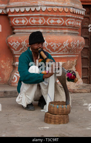 Indian snake charmer plays flute-like gourd instrument called a pungi ...
