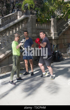 Boxer training outdoors Stock Photo - Alamy