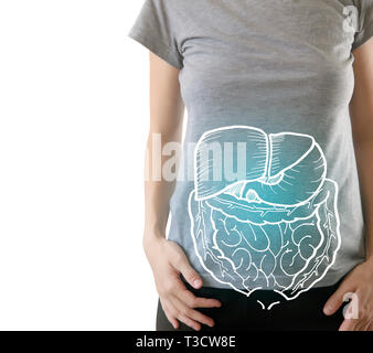 highlighted blue internal organs of healthy human organsim / protection ...