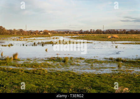 Catcott; The Levels; Somerset; UK Stock Photo - Alamy