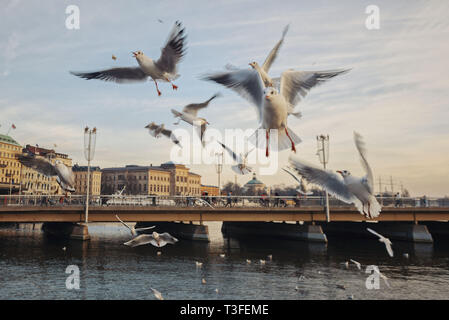 Stockholm, Sweden. 9th Apr, 2019. Spring is slowly but surely ...