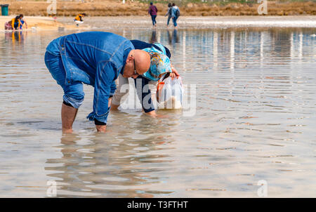 Ankara/Turkey- April 06 2019: Old Turkish couple pick salt crystal ...