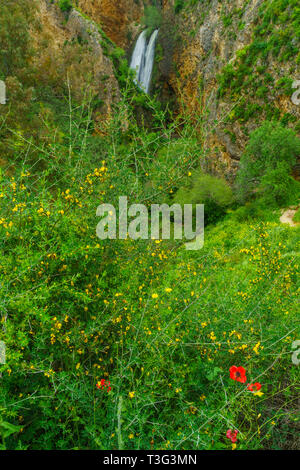 View of the Tanur waterfall, in the Ayun Stream Nature Reserve, Upper ...