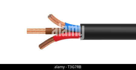 electric wire with three cables on a white background Stock Photo - Alamy