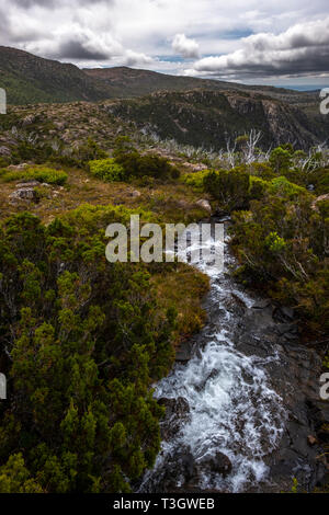 Tarn Shelf Track. Mt Field. Tasmania Stock Photo - Alamy