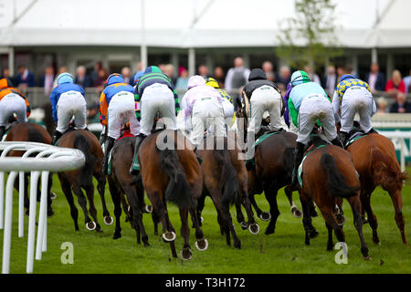 Runners and riders in the Weatherbys Racing Bank Handicap Hurdle with ...