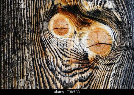 Pattern in the wood Stock Photo - Alamy