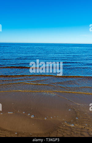 empty sea beach with ice leftovers and no snow in winter Stock Photo ...