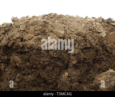 Soil or dirt section isolated on white background Stock Photo - Alamy