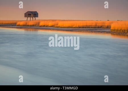 At Nieuwe Statenzijl is the bird watching hut the Kiekkaaste. This is ...