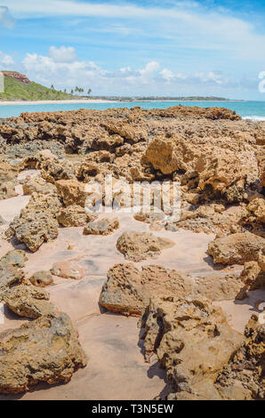 Beach rocks, rocks with holes made by the waves of the sea. Spongy ...