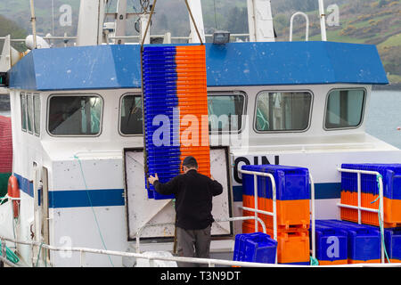 trawlerman loading fish boxes into the hold of a trawler Stock Photo ...