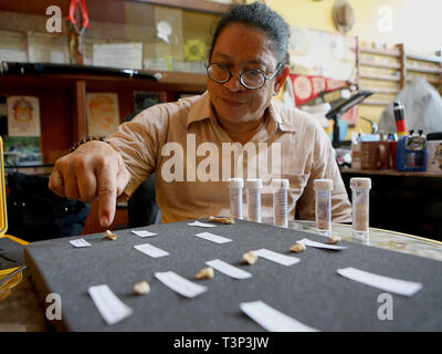 Quezon, Philippines. 11th Apr, 2019. The set of fossils of a newly ...