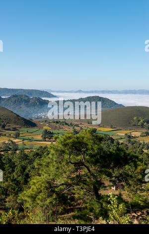view of the burmese vegetation during morning fog, located close to ...