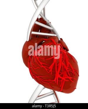 Human heart and dna strand, illustration Stock Photo - Alamy