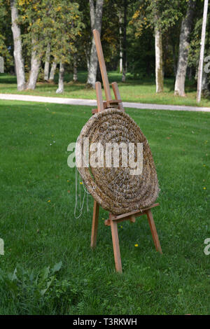 Archery target with arrows outdoor. Abstract concept: hit goals and ...