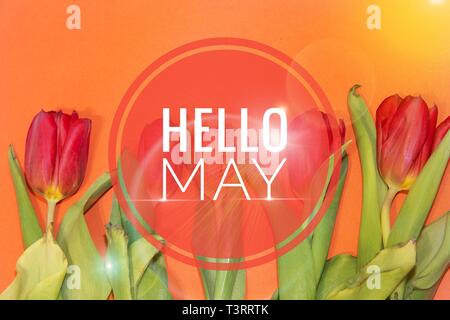 Banner hello may. Welcome picture. New month. Warm month. the month of ...