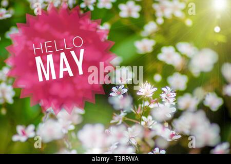 Banner hello may. Welcome picture. New month. Warm month. the month of ...