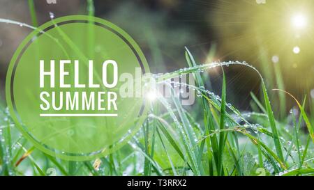 Banner hello may. Welcome picture. New month. Warm month. the month of ...