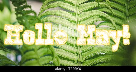 Banner hello may. Welcome picture. New month. Warm month. the month of ...