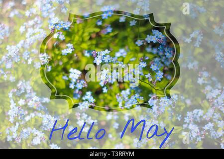 Banner hello may. Welcome picture. New month. Warm month. the month of ...