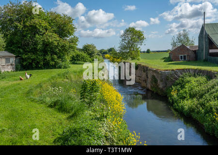 Louth Canal at Alvingham Stock Photo - Alamy
