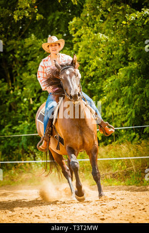 Taking care of animals, horsemanship, western competitions concept ...