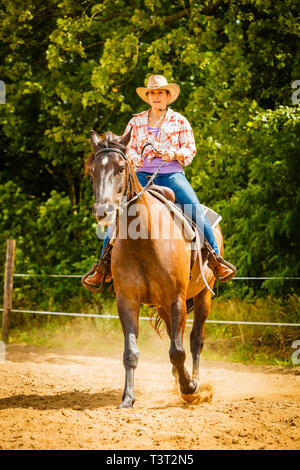 Taking care of animals, horsemanship, western competitions concept ...