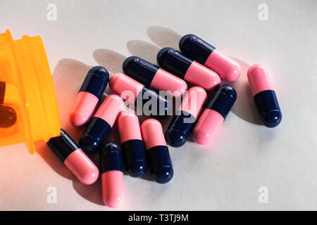 Close up of pink and blue Amoxicillin antibiotics capsule pills ...