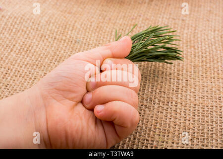 Leaves in hand over a notebook page Stock Photo - Alamy