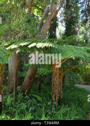 Wanneroo Botanical Garden has a mixture of native and imported garden ...