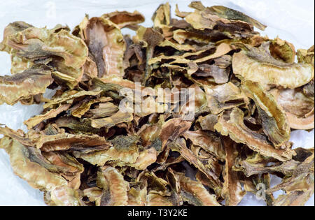 Walnut partitions. Part of the nut, fetal septum Stock Photo - Alamy