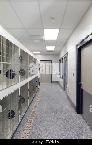 Metal doors of empty cages in animal shelter Stock Photo - Alamy