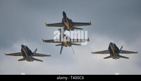 The Blue Angels perform the Double Farvel maneuver. (20077162328 Stock ...