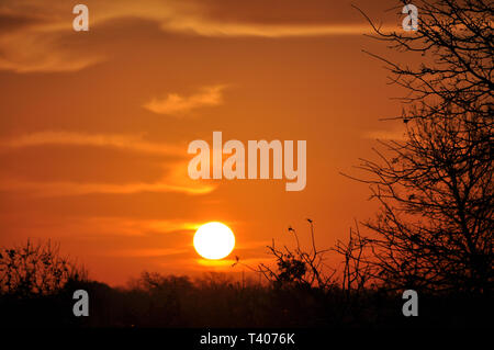 Stunning sunset with beautiful shades of orange, pink, purple and blue ...