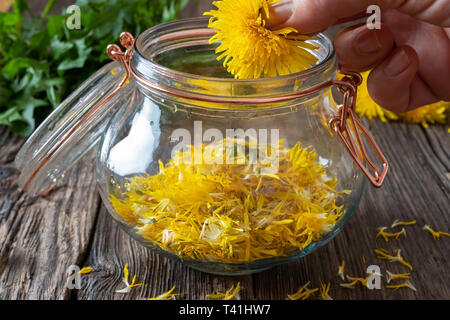Preparation of dandelion syrup from fresh yellow blossoms and cane ...