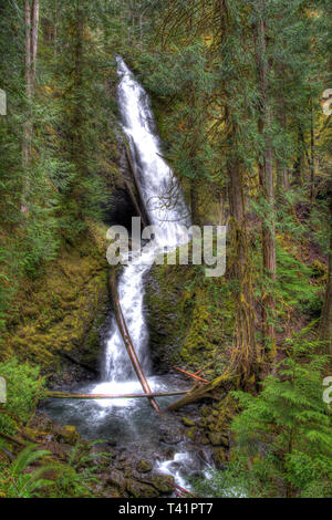 Murhut Falls, Olympic National Forest, Washington Stock Photo - Alamy