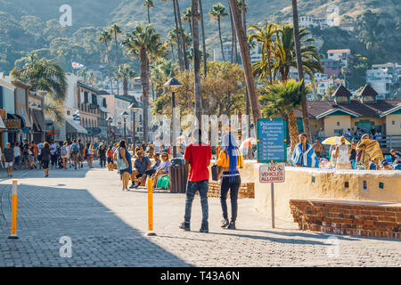 Downtown Avalon on Catalina Island California USA Stock Photo: 24176916 ...