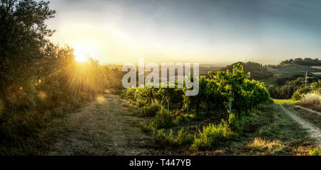Rural scenery in Montespertoli, Tuscan region of Florence Stock Photo ...