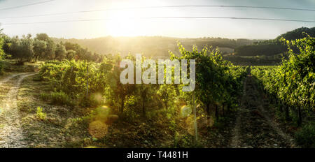 Rural scenery in Montespertoli, Tuscan region of Florence Stock Photo ...