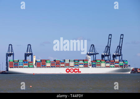 Port of Felixstowe with container ships (Trinity Terminal Stock Photo ...