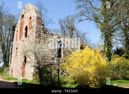 Lindow, Germany. 07th Apr, 2019. The Lindow Monastery ruins. The ...