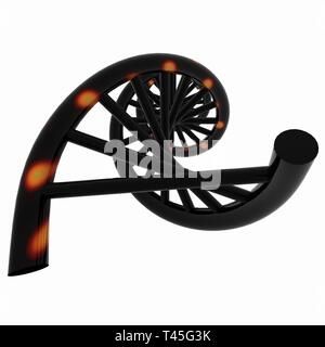DNA structure model on white Stock Photo - Alamy