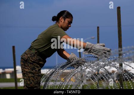 U.S. Marine Corps Cpl. Cassandra Escobar with 2nd Marine Logistics ...