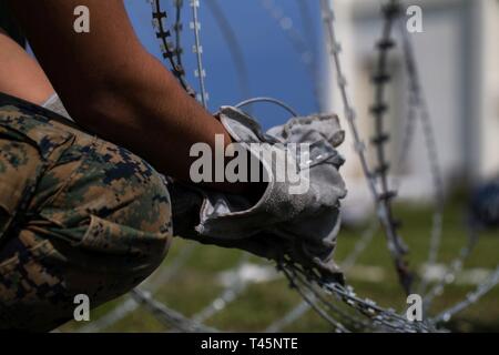 U.S. Marine Corps Cpl. Cassandra Escobar with 2nd Marine Logistics ...
