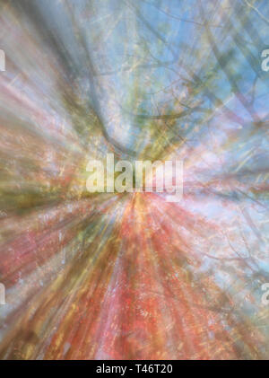 Autumn leaves and paper on a blue background Stock Photo - Alamy