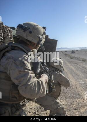 Troops of the 2nd Light Armored Infantry Battalion on amphibious patrol ...