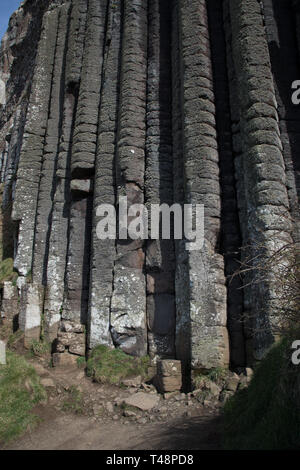 Basalt Columns at the giants causeway towering above the pathway Stock ...
