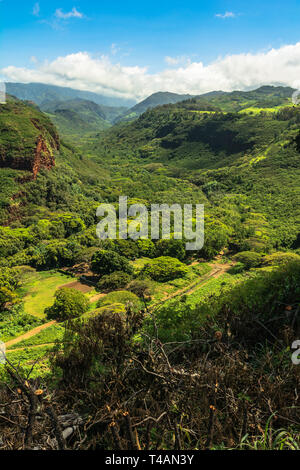 Hanapepe Valley lookout, Kauai, Hawaii, United States of America ...