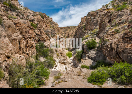Ernst Canyon, Big Bend National Park, Texas, USA Stock Photo - Alamy